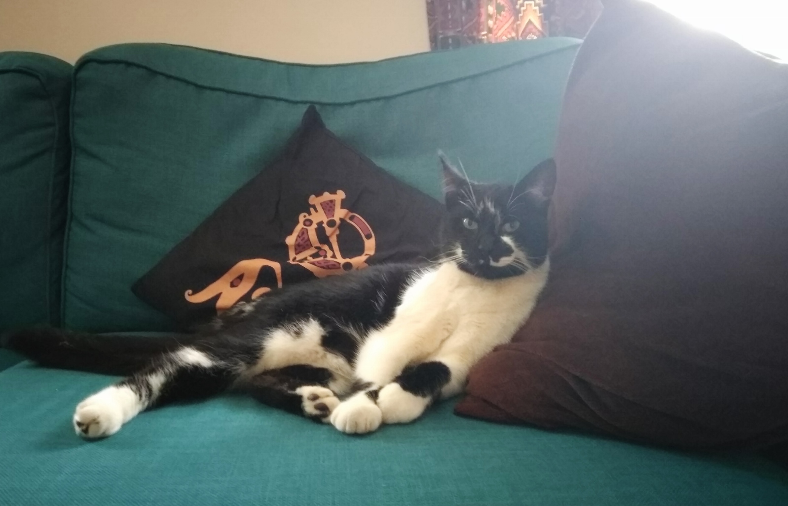 225: Histon & St Ives – Visiting all the maps!